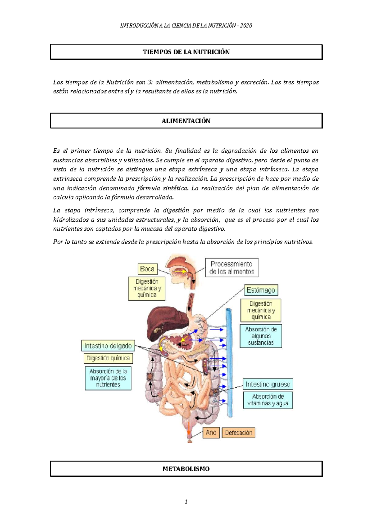 2.a. Tiempos DE LA Nutrición - INTRODUCCIÓN A LA CIENCIA DE LA NUTRICIÓN - 2020 TIEMPOS DE LA ...