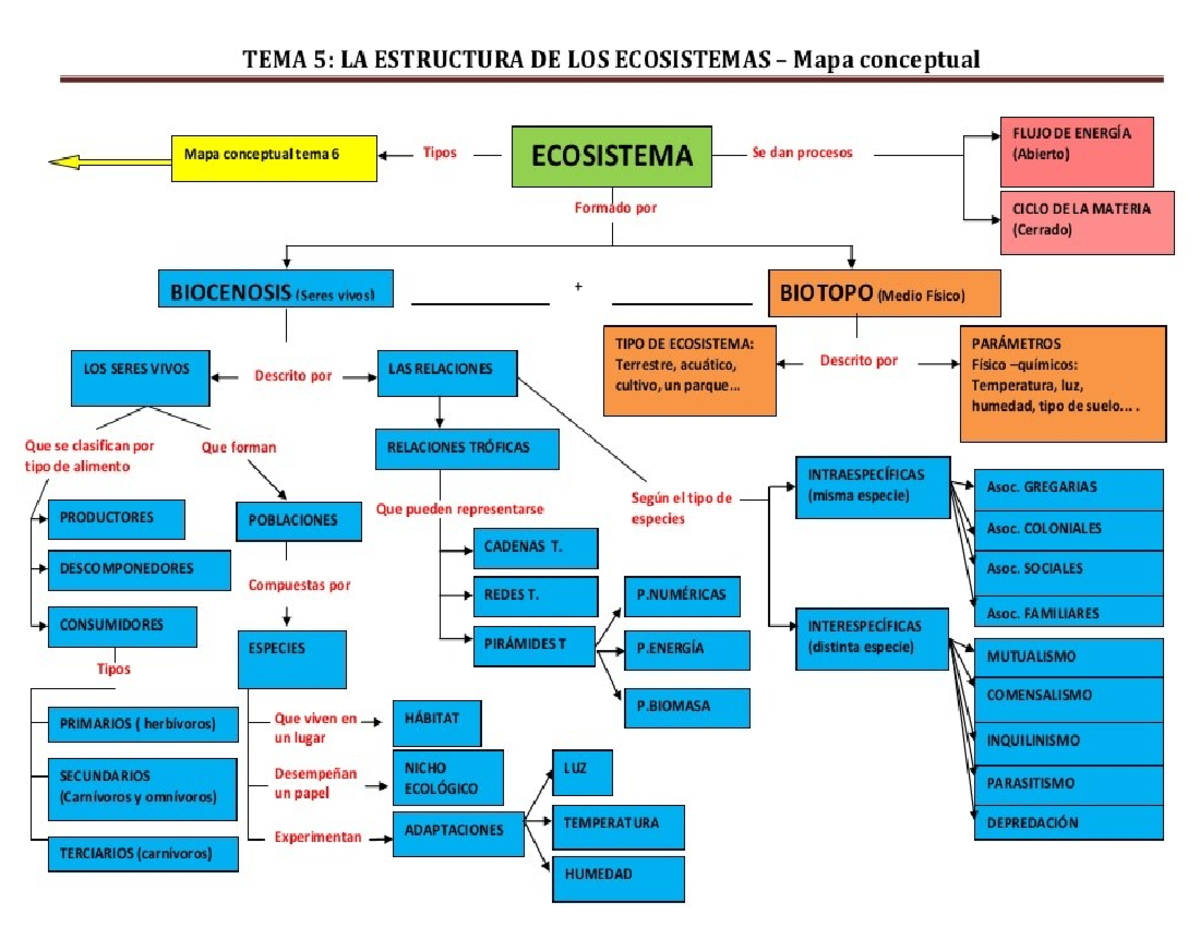 MAPA Conceptual Ecosistemas - TEMA 5: LA ESTRUCTURA DE LOS ECOSISTEMAS Mapa conceptual FLUJO DE ...