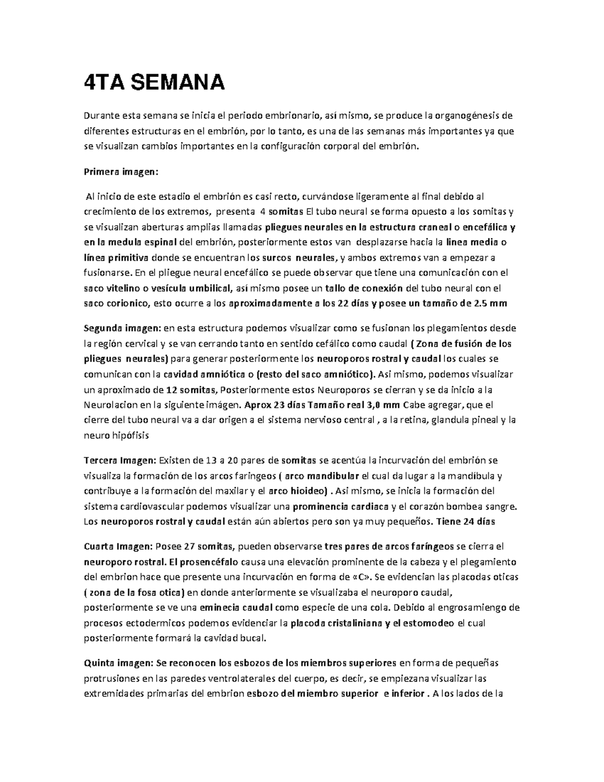 Semanas 4 8 - periodo embrionario de la 4ta semana a la 8va - 4TA ...