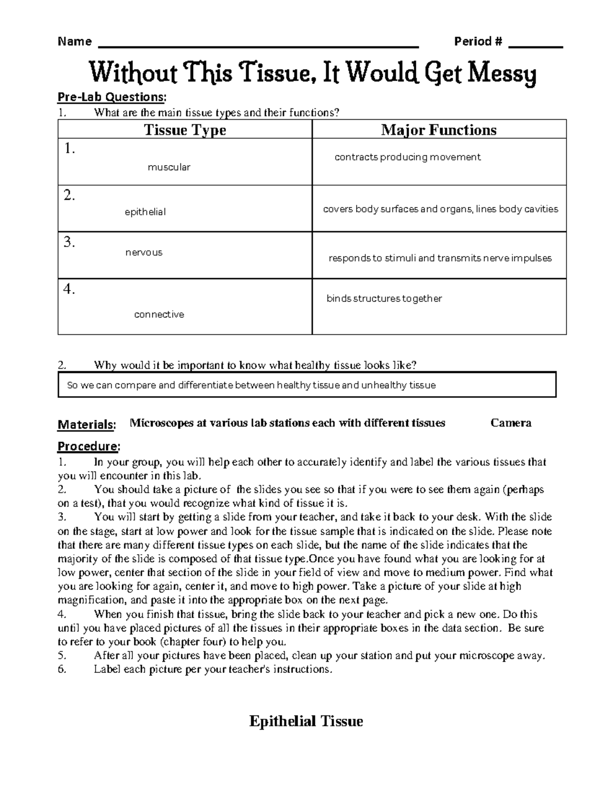 Kami Export - Alejandra Torres - Histology-Types of Tissue Lab - Name ...