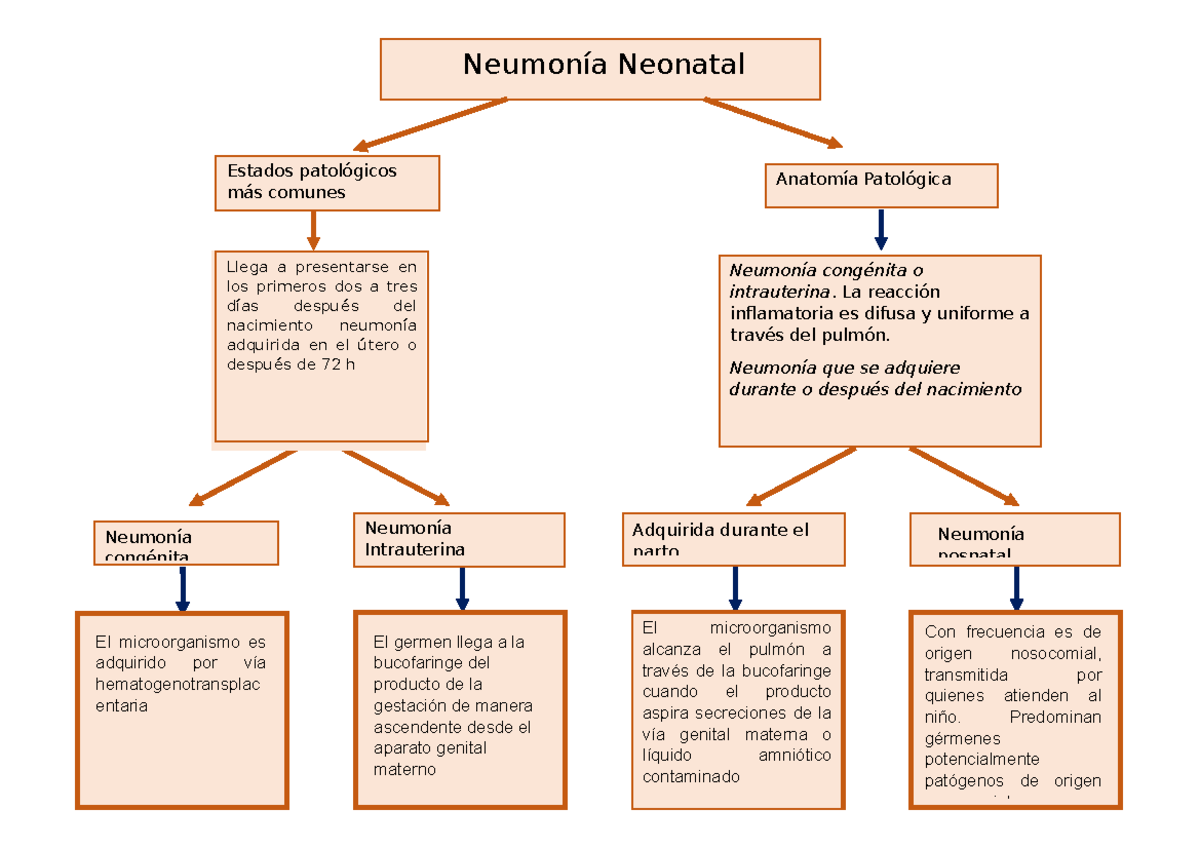 Neumonía neonatal - Adquirida durante el parto El microorganismo ...