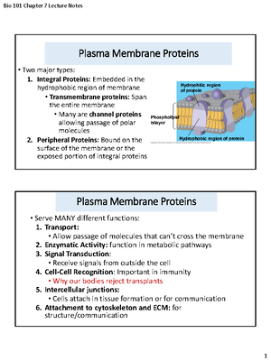 BSC 1010 Lab Lecture #3 - Introduction to the science method, reading ...