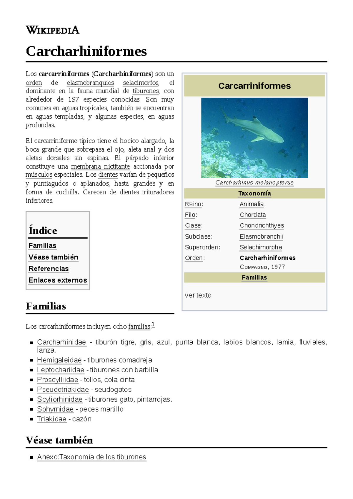 Carcharhiniformes - iujk - Carcarriniformes Carcharhinus melanopterus ...