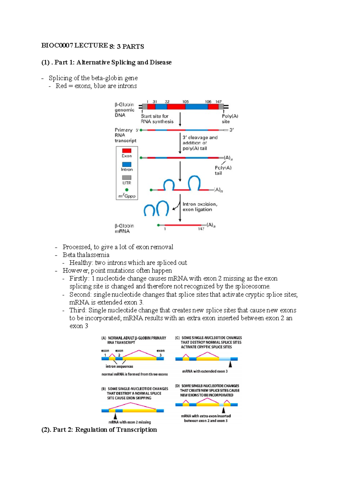 Bioc0007 Lecture 8 Bioc0007 Lecture 8 3 Parts 1 Part 1 Alternative Splicing And Disease