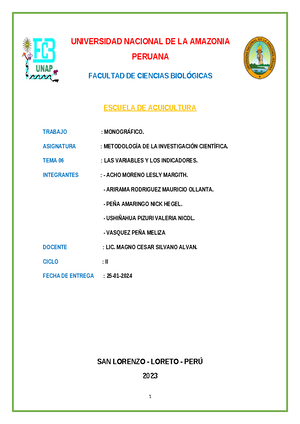 Universidad Nacional DE LA Amazonia Peruana - UNIVERSIDAD NACIONAL DE LA AMAZONIA PERUANA ...
