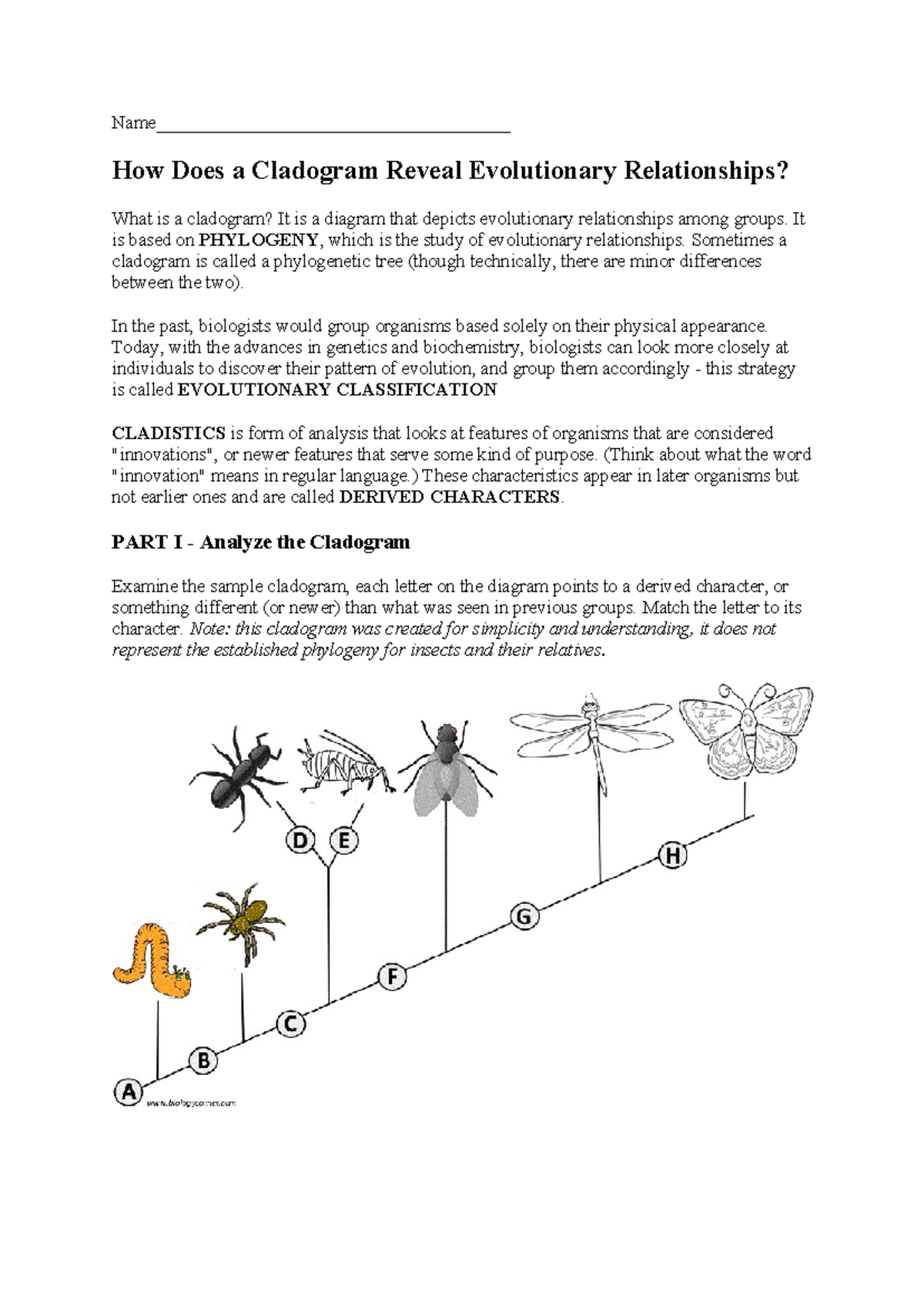Cladograms - It is based on PHYLOGENY, which is the study of ...