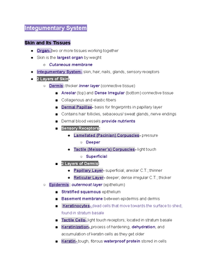 The Endocrine System - The Endocrine System General Characteristics ...
