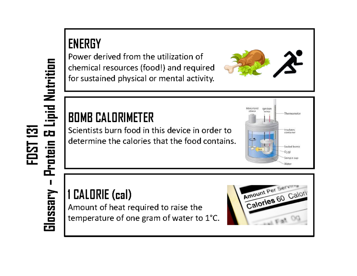 All Vocabulary Words - Protein and Lipid Nutrition - ENERGY Power ...