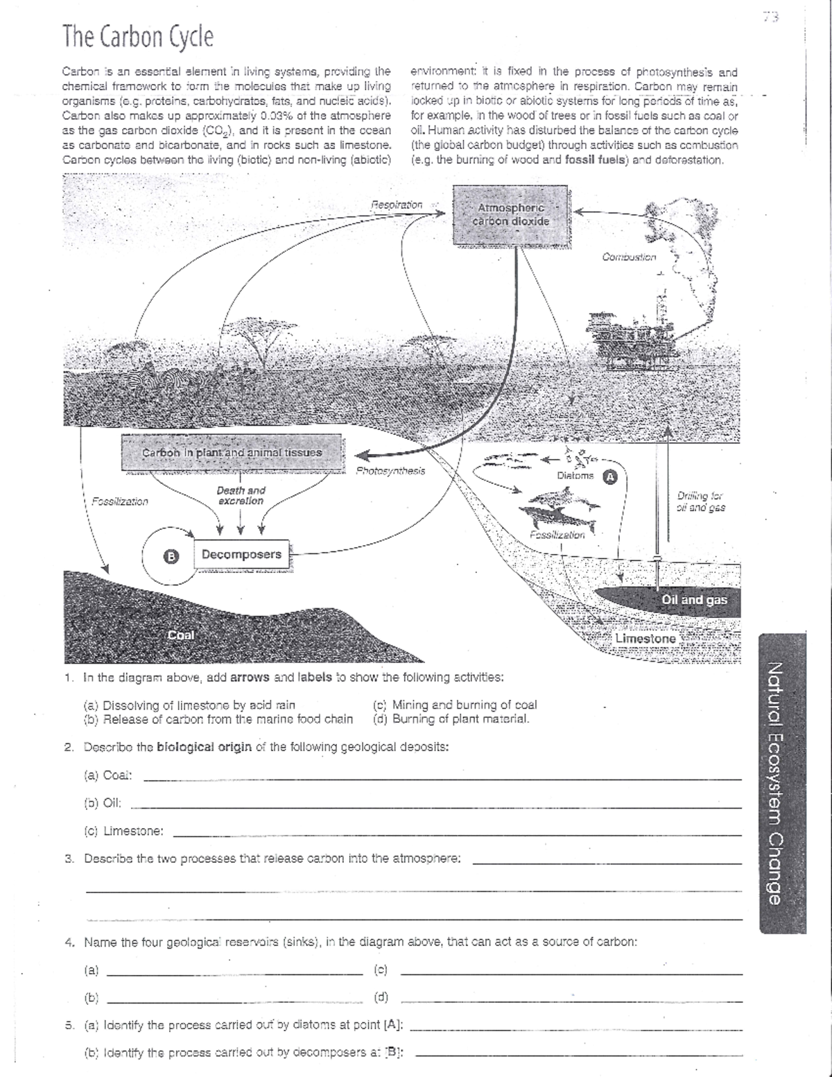 Carbon cycle questions - Studocu