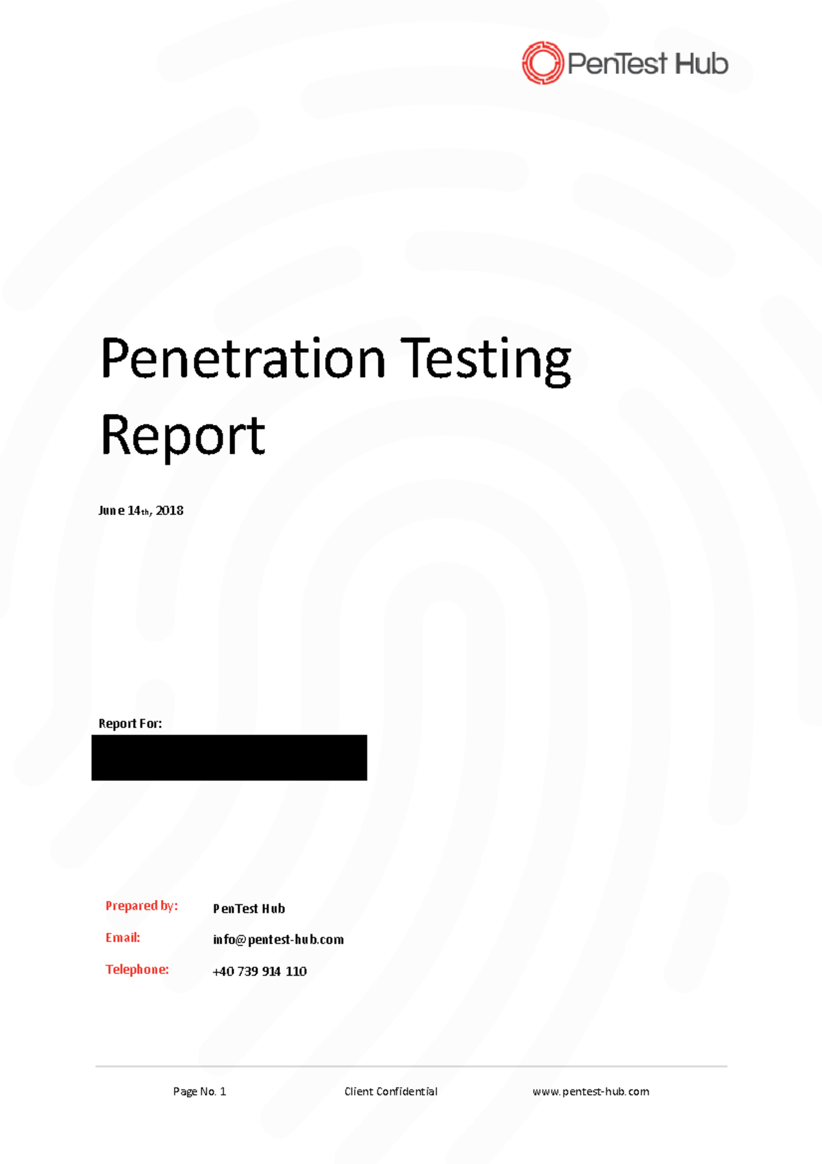 Example-Penetration Testing Report v - Penetration Testing Report June ...