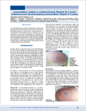 Números de grados - Primaria - s t gr ad e n gr ad d t ad gr h ad gr ad ...