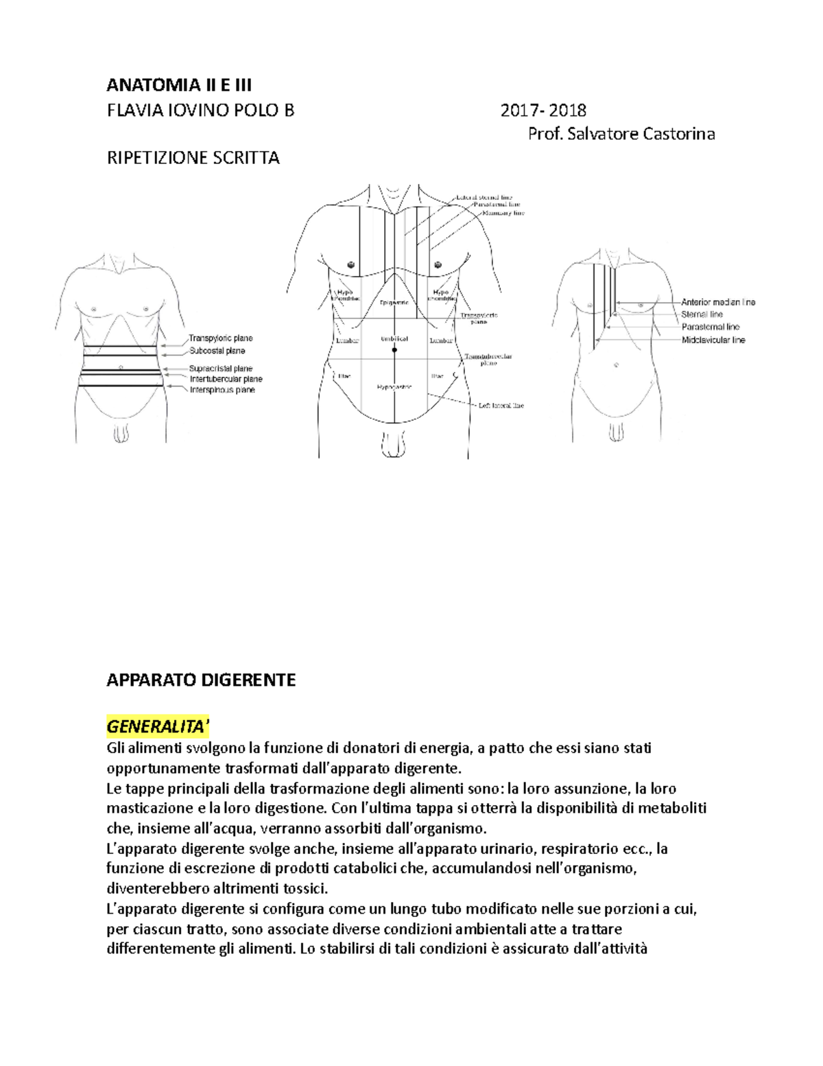 Anatomia - Warning: TT: undefined function: 32 ANATOMIA II E III FLAVIA IOVINO POLO B 2017- 2018 ...