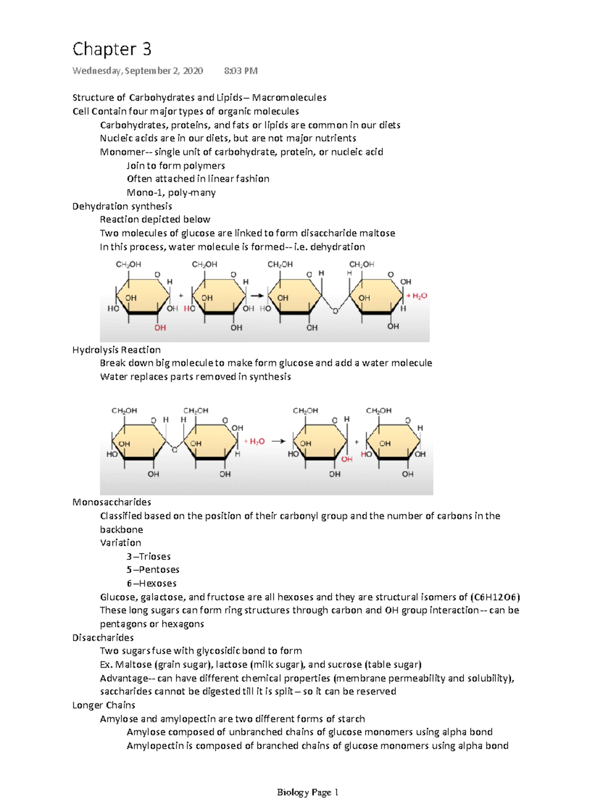Bioch 3 - Bio 1404 - Structure of Carbohydrates and Lipids ...