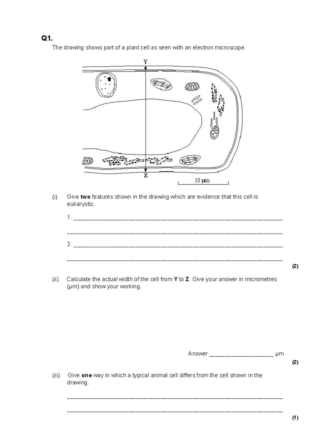 07032018-cell structure and magnification questions - Q1. The drawing ...