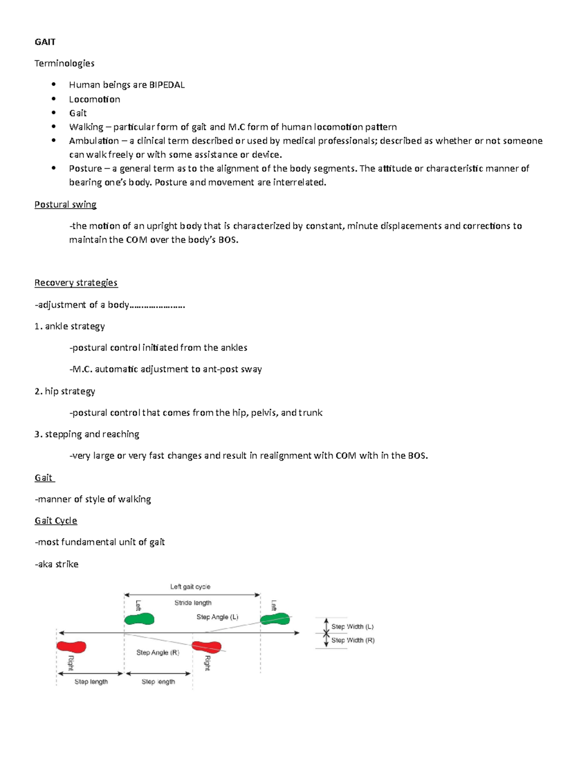 Gait Lecture Notes - GAIT Terminologies Human beings are BIPEDAL ...