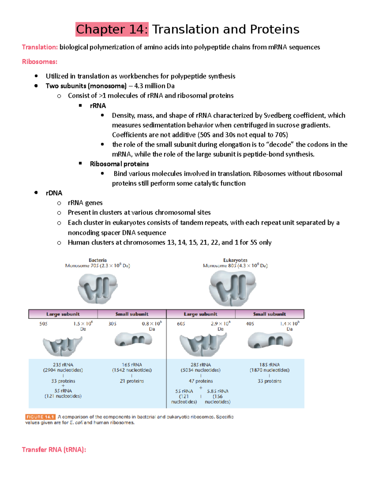 8. Ch.14 Translation and Proteins - Chapter 14: Translation and ...