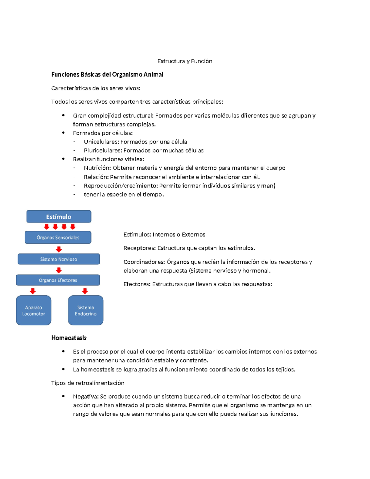 Estructura y Función - para estudiar - Estructura y Función Funciones ...