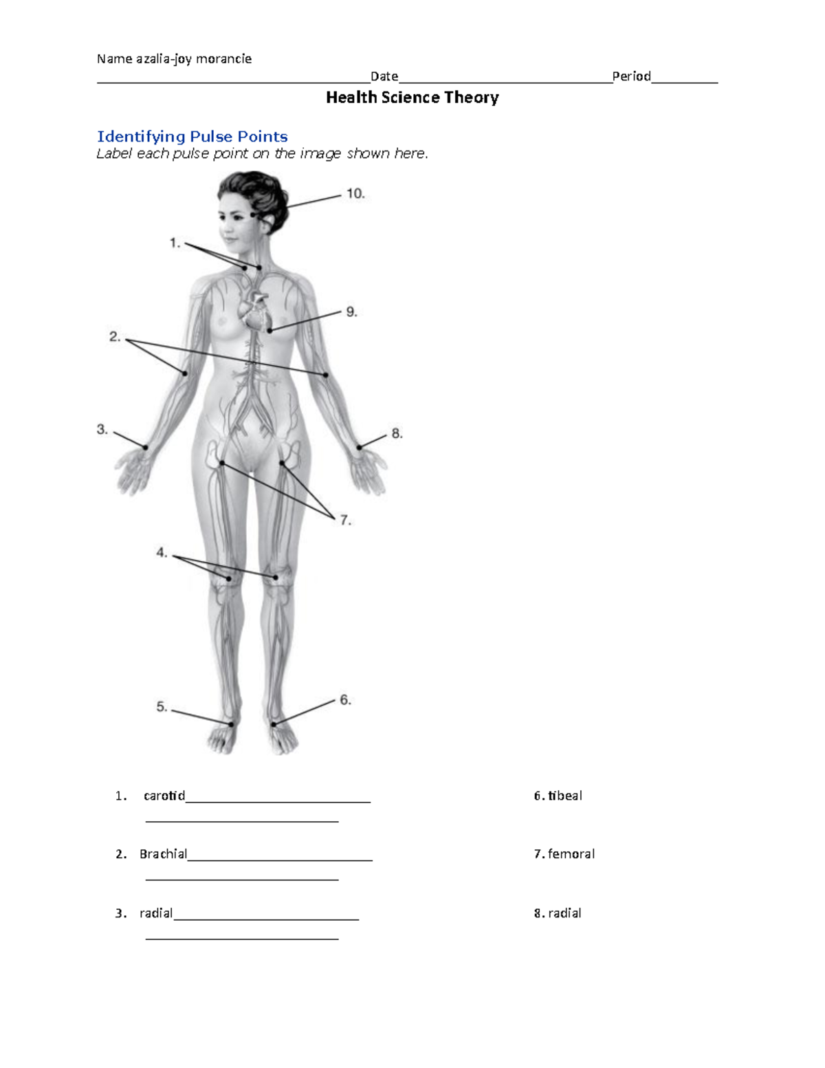 Identifying Pulse Points - Name azalia-joy morancie - Studocu