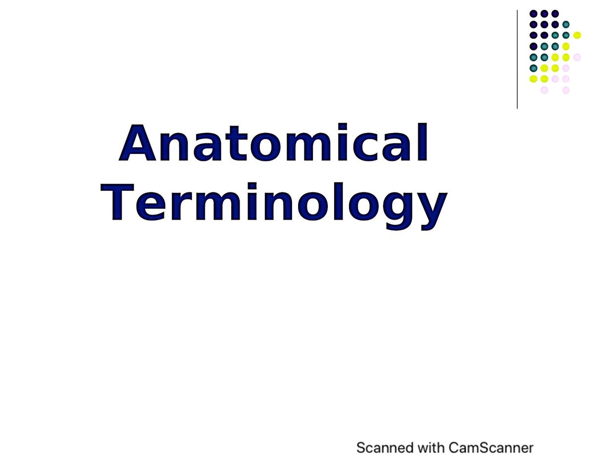 Anatomical Terminology - Anatomy 1 - Studocu
