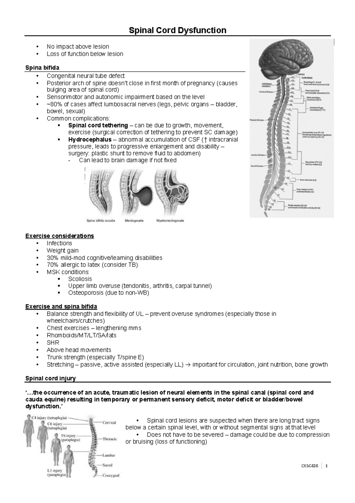 UOW EXSC420 - Spinal Cord Dysfunction Notes - Spinal Cord Dysfunction ...