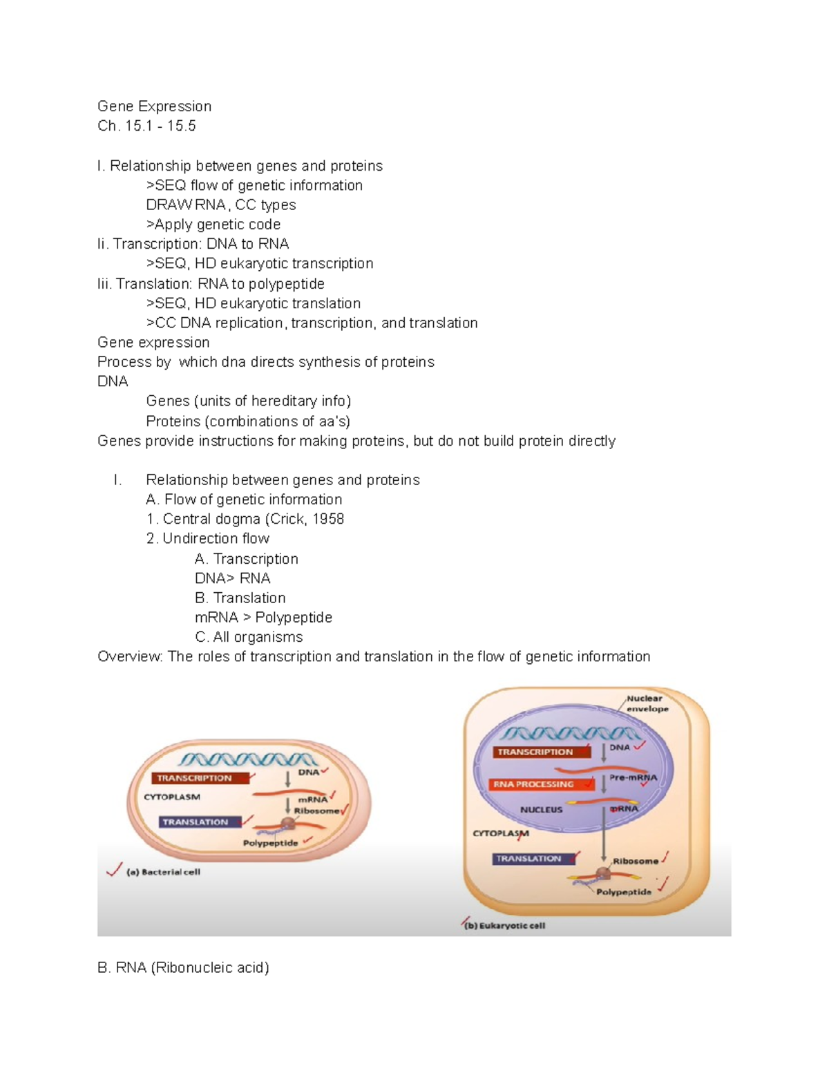 Gene Expression - full notes - Gene Expression Ch. 15 - 15. I ...