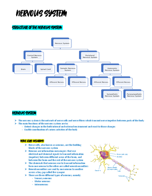 MBChB - UFS UV - Medicine - Studocu