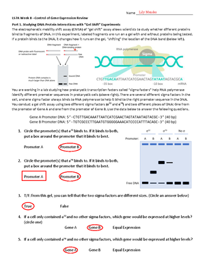 Week 8a Eukaryotic Gene Expression Reading Guide - Name - Studocu