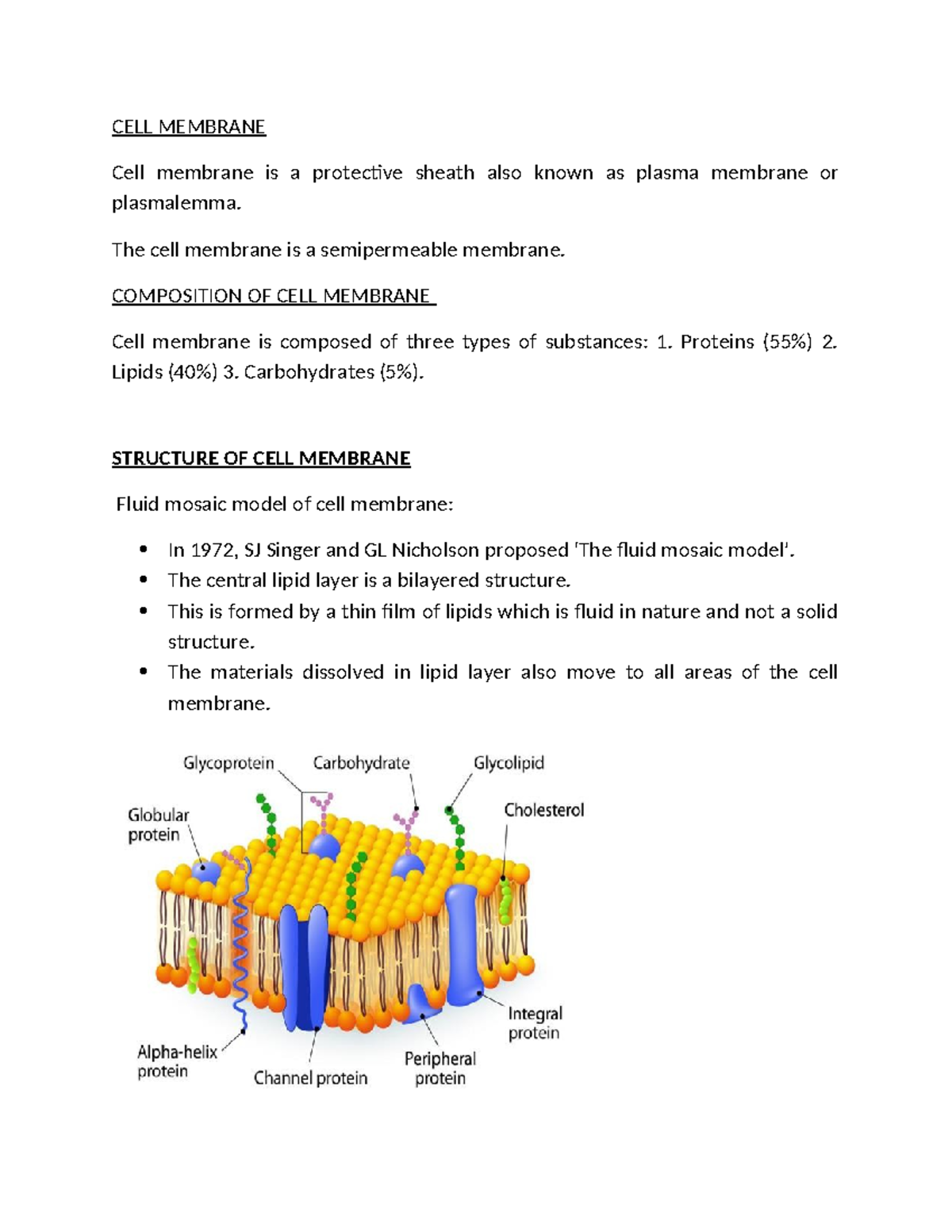 CELL Membrane - CELL MEMBRANE Cell membrane is a protective sheath also ...