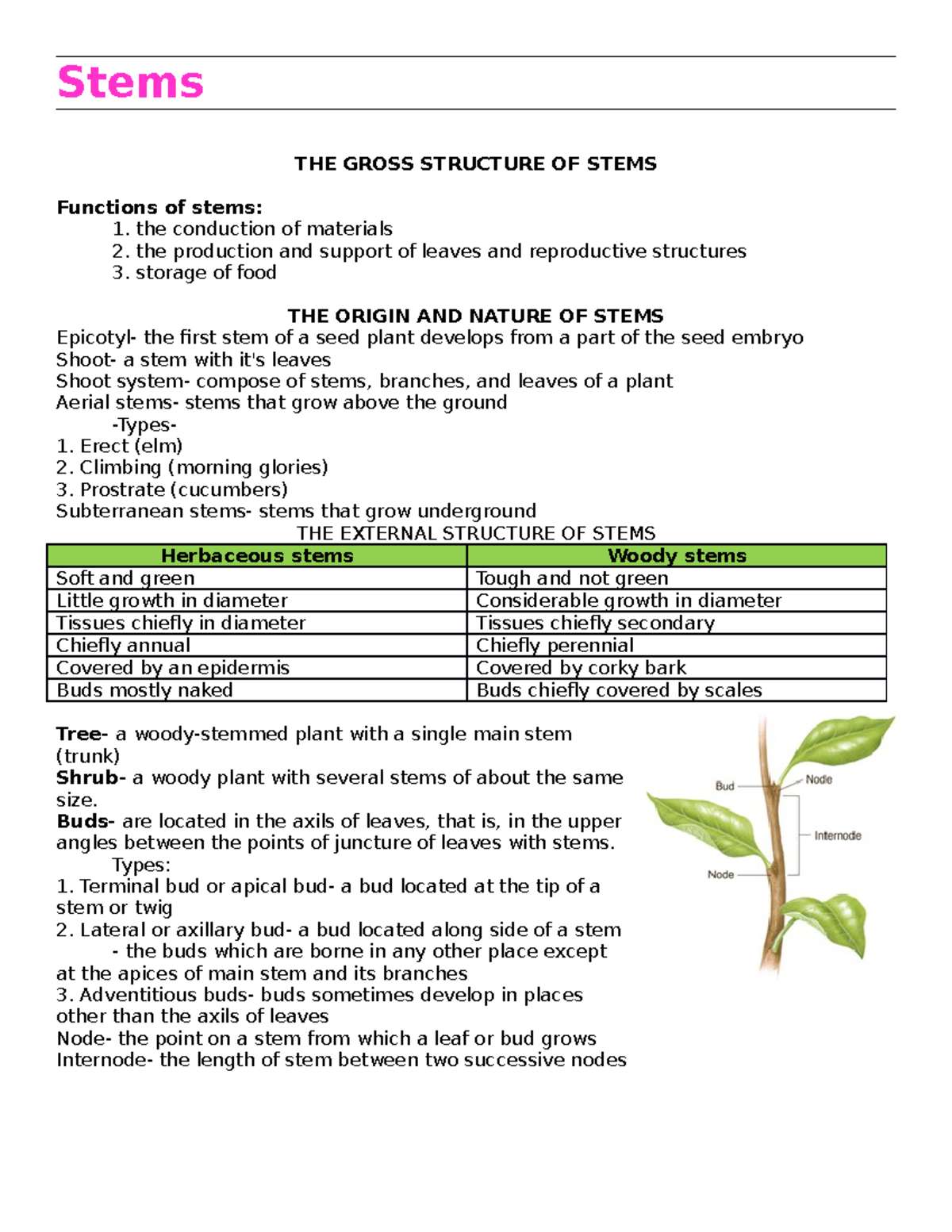 4 - notes - Stems THE GROSS STRUCTURE OF STEMS Functions of stems: 1 ...