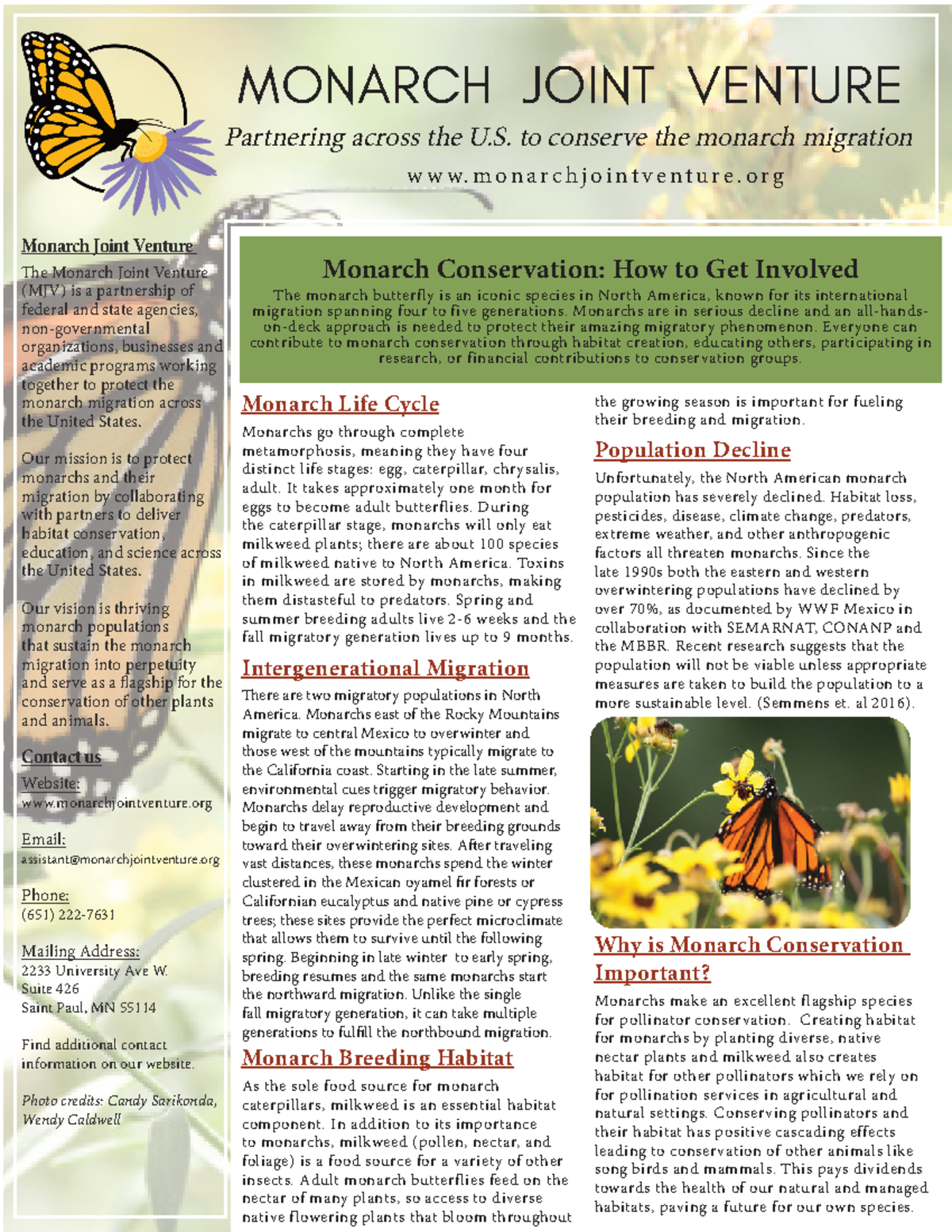 Monarch General Overview Updated Final - Monarch Life Cycle Monarchs go ...