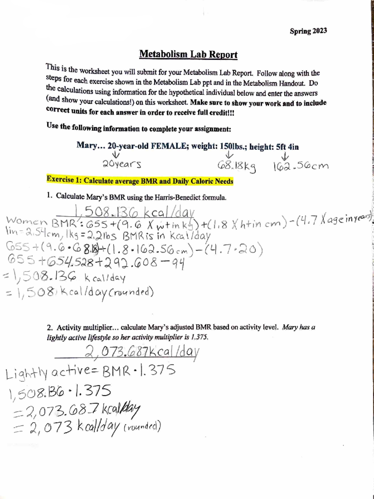 Metabolism Lab Report (Alternative) - Nahle: Katelyn Hodgson N#OIS ...