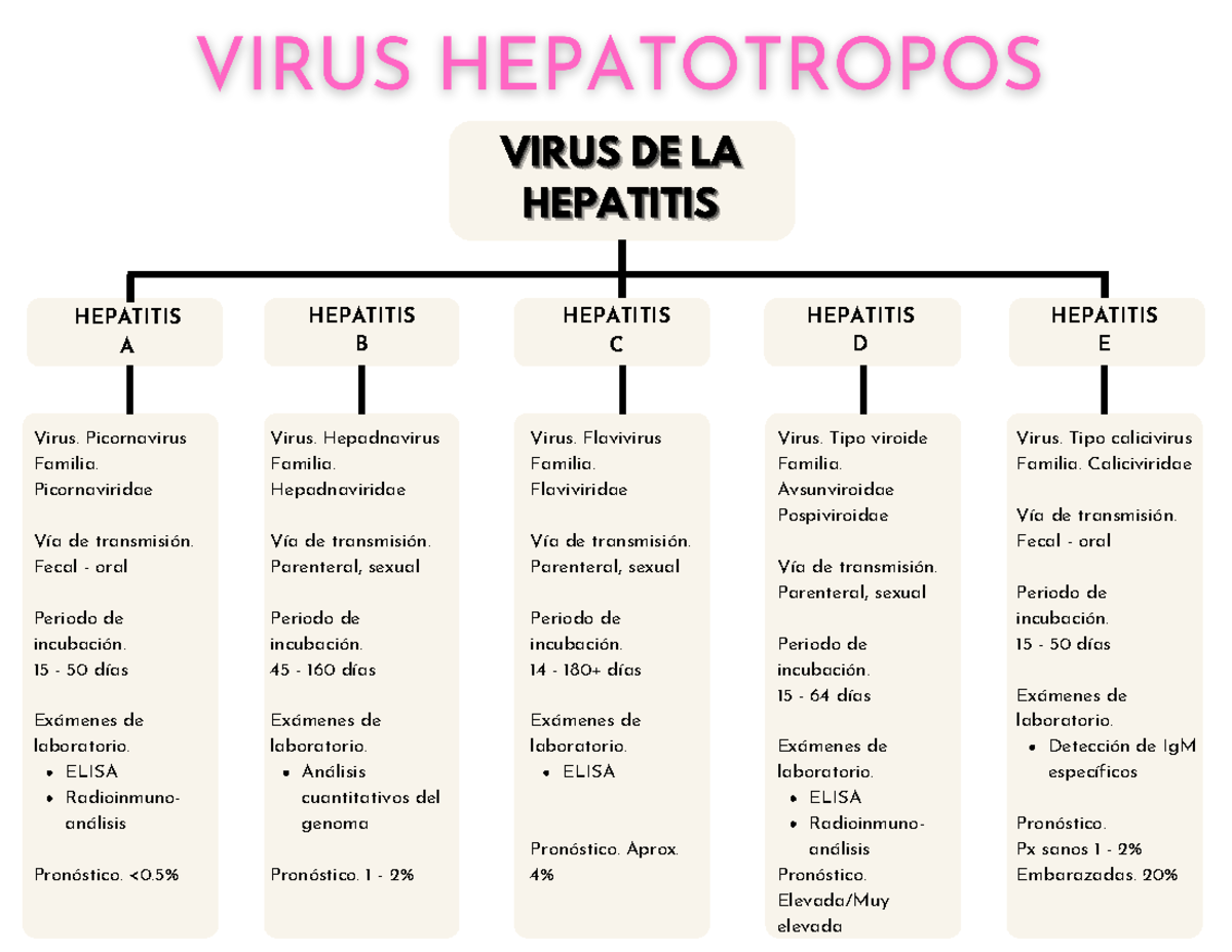 Concept Map Graphic Organizer - HEPATITIS A VIRUS DE LAVIRUS DE LA ...