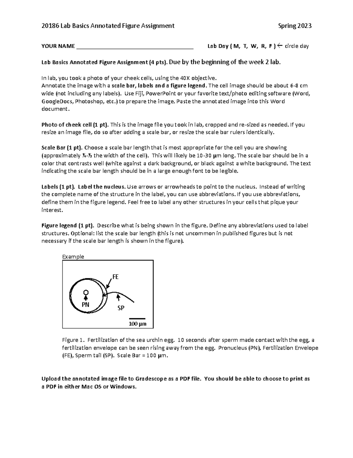 2018 6 S2023 Basics Annotated Figure Assignment GS - 20186 Lab Basics ...