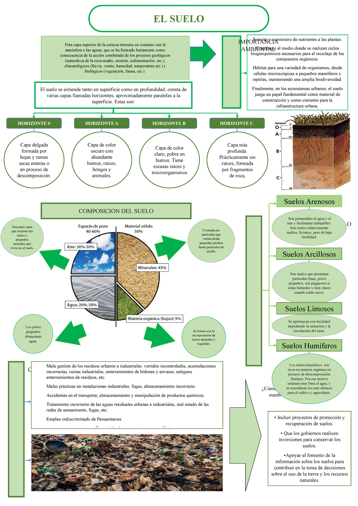 Infografia suelo - EL SUELO Fina capa superior de la corteza terrestre ...