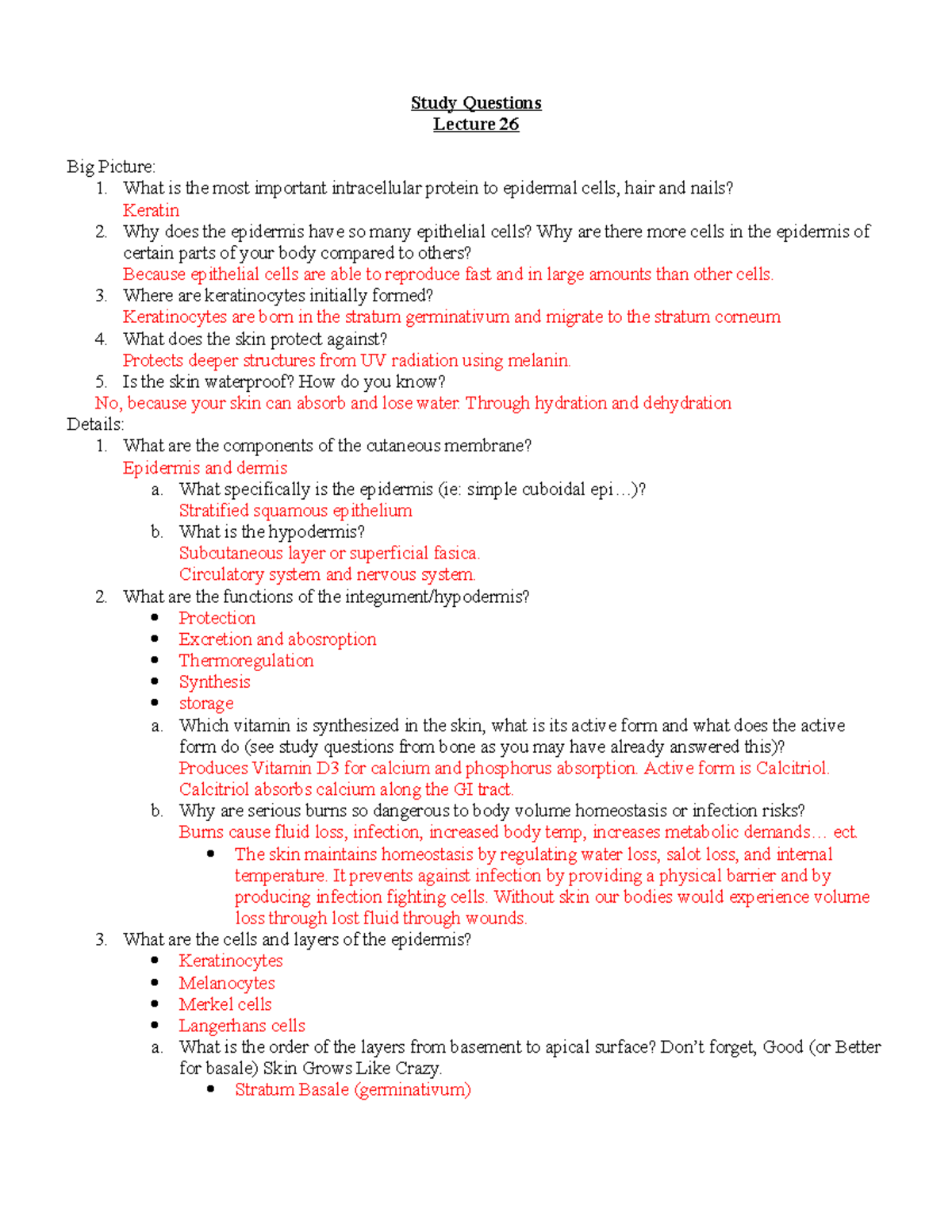 Lecture 26 Study Questions-1 - Study Questions Lecture 26 Big Picture ...