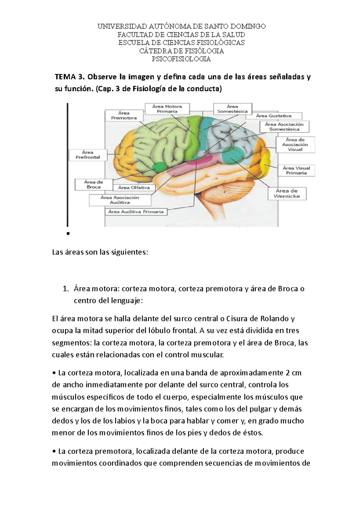 GUIA 1 Psicofisiologia Estructuras Cerebrales y Embriologia DEL Cerebro ...