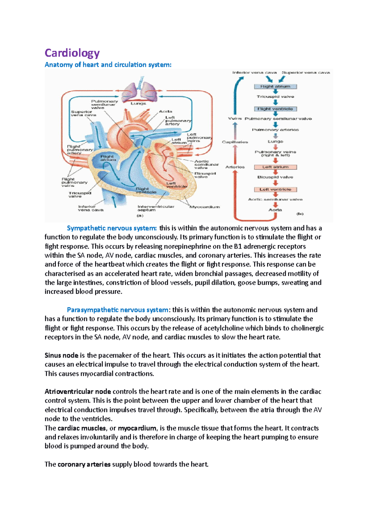 Cardiology Exam Notes - Cardiology Anatomy of heart and circulation ...
