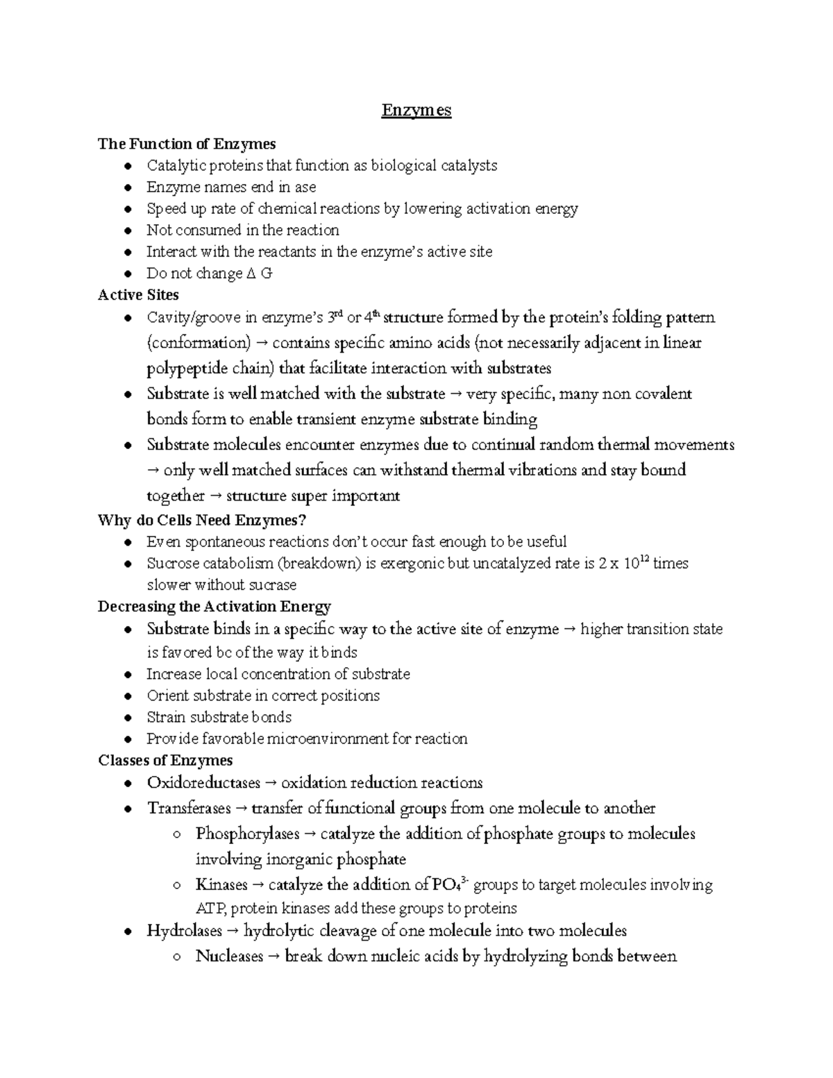 2 20 19 - Enzymes - Lecture notes 10 - Enzymes The Function of Enzymes ...