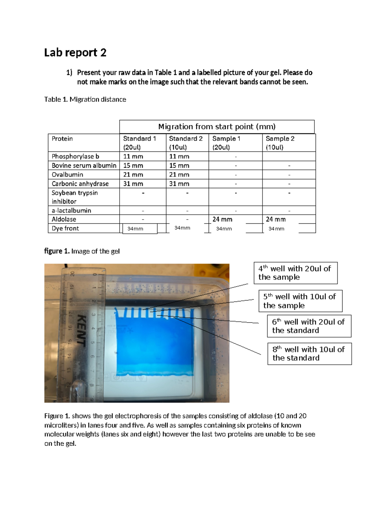 Post lab report 2 - Lab report 2 1) Present your raw data in Table 1 ...