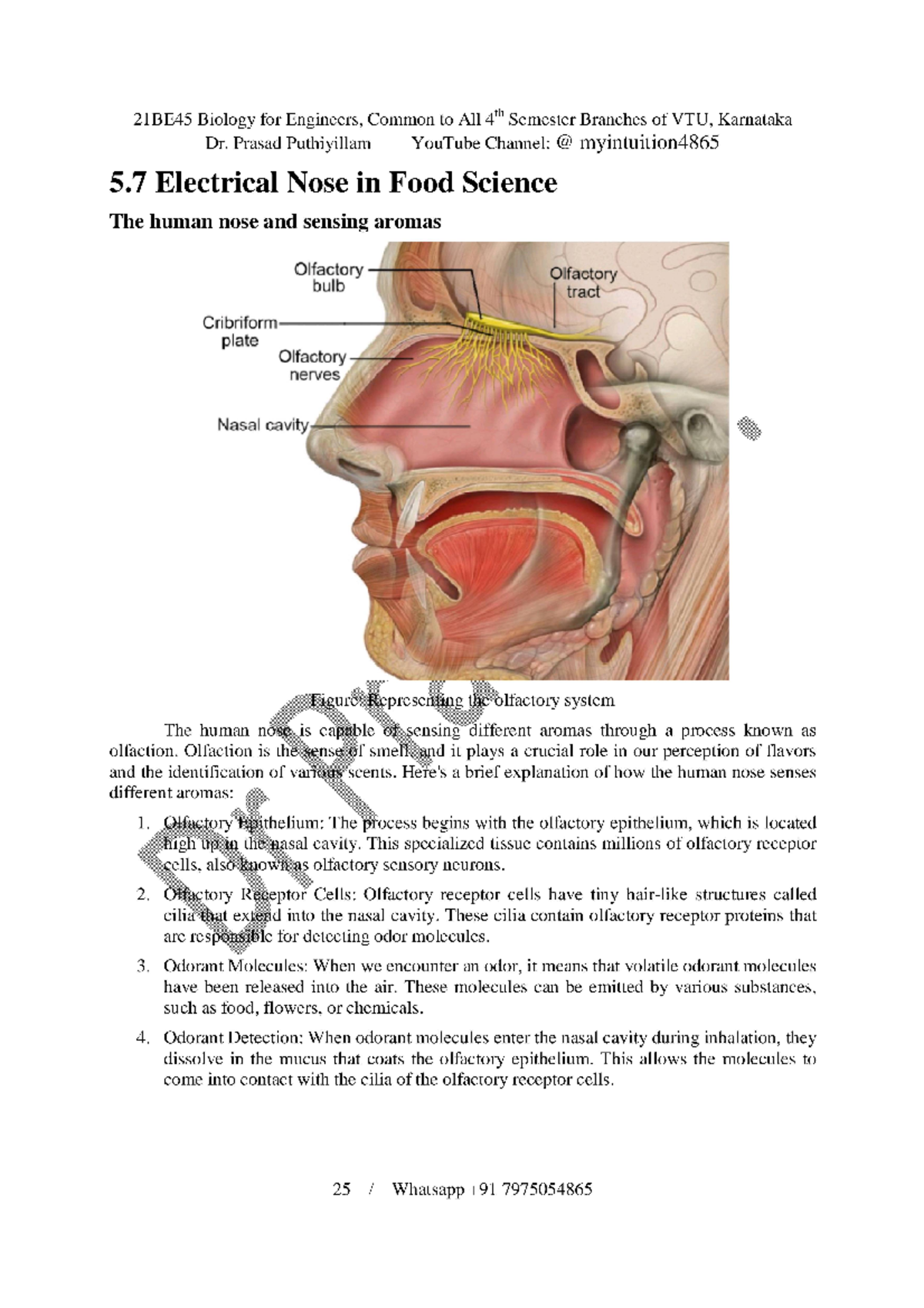 Module 5 21BE45 Biology for Engineers 42 pages - BTech - Studocu
