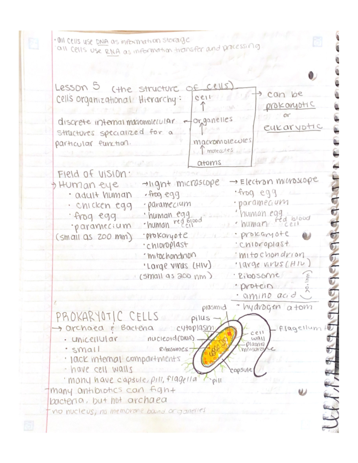 Lesson 5 (biol 1105) - BIOL1105 - Studocu