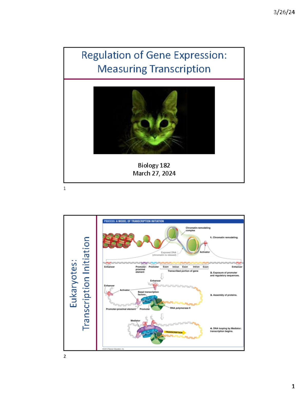 240327 Gene Regulation- Measuring Transcription - CHEM 10171 - 3/26/ 1 ...