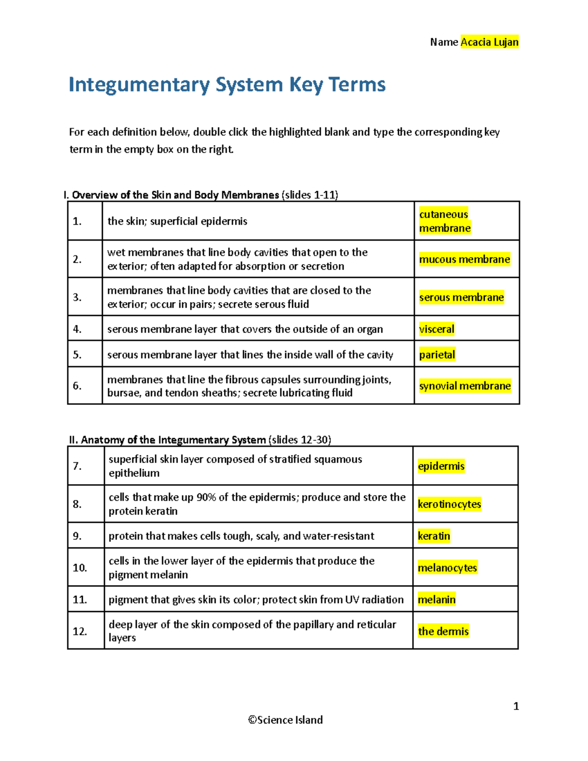 Integumentary System Key Terms Chart - Name Acacia Lujan Integumentary ...