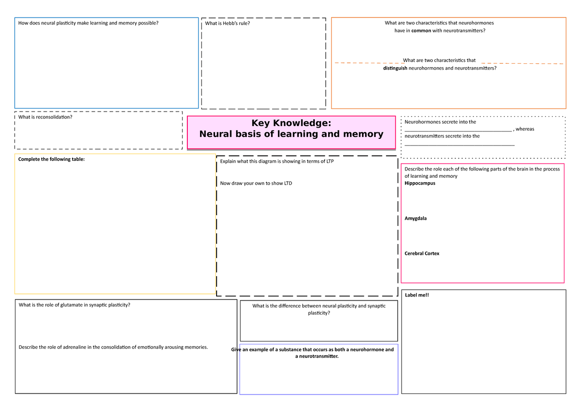 Unit 3 - poster - Neural basis of learning and memory - Key Knowledge: Neural basis of learning ...