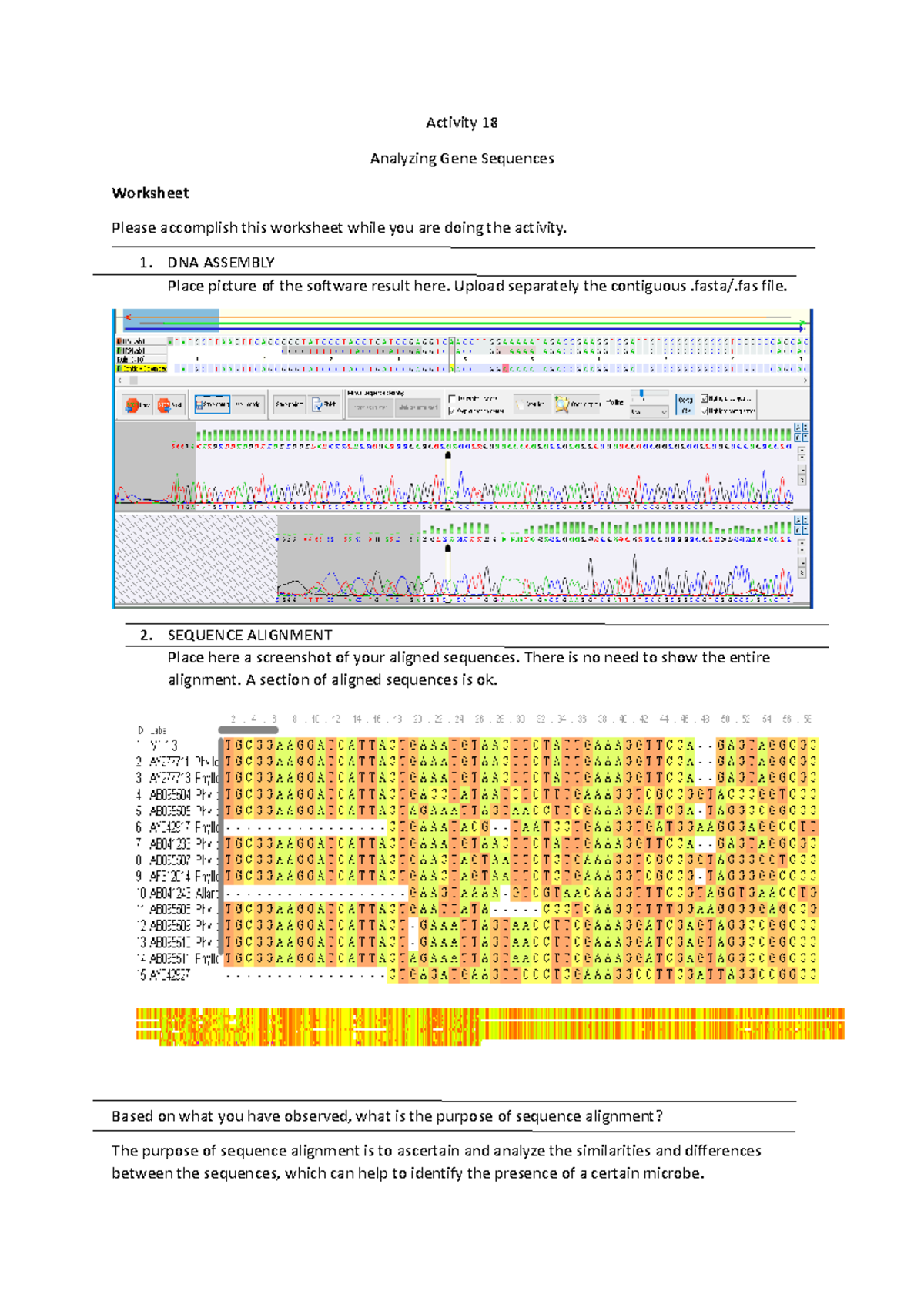 Activity 18 Analyzing Gene Sequences - Activity 18 Analyzing Gene ...