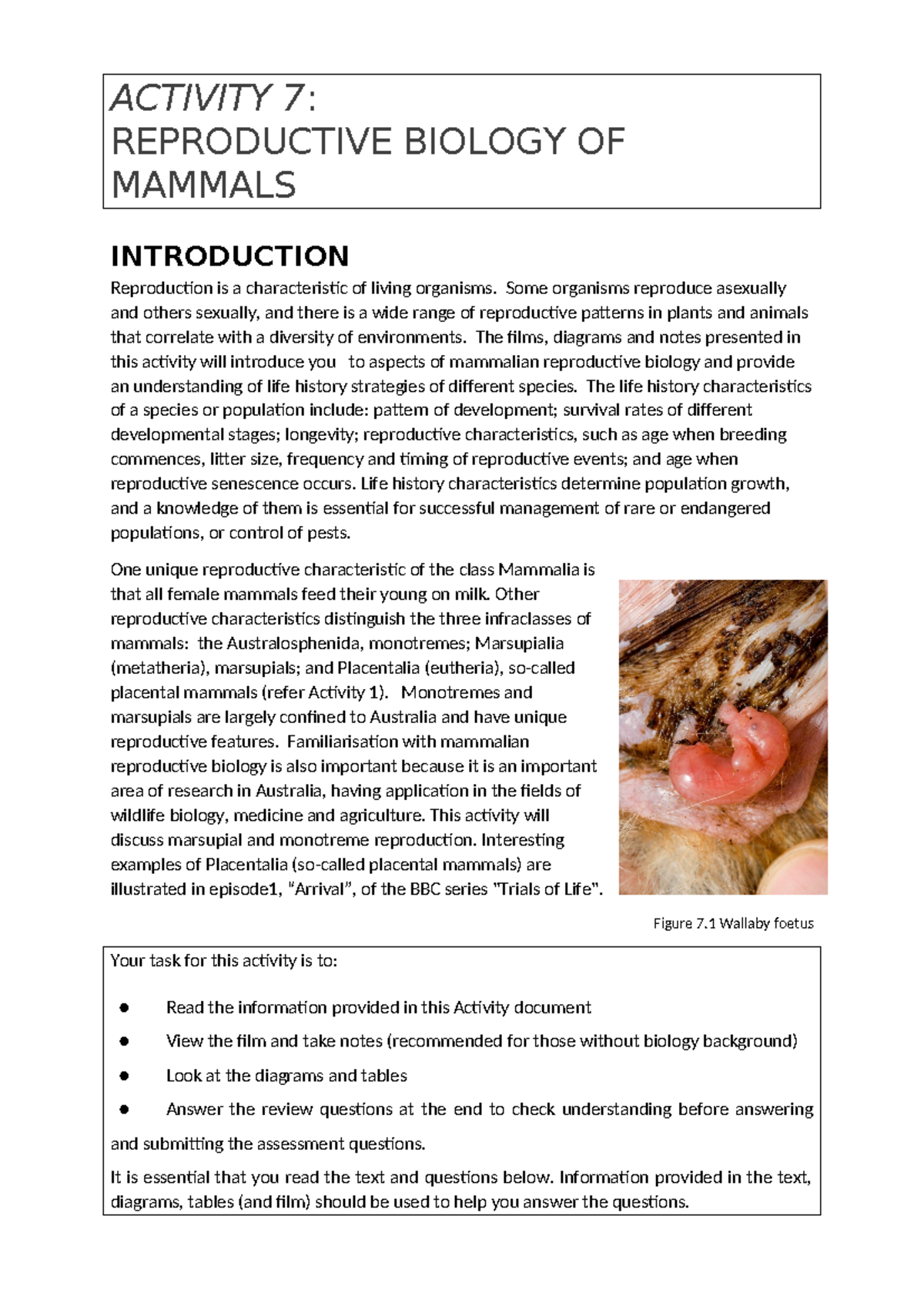 BIOL10001 Activity 7 - Reproductive Biology of Mammals - ACTIVITY 7 ...