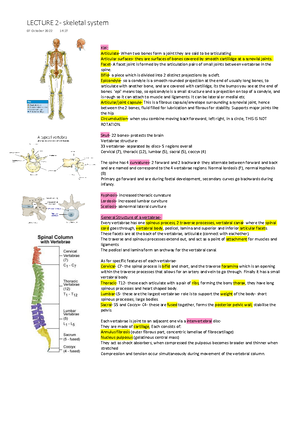 Week 1 - Anatomy Basics - Anatomy- branch of science of bodily ...