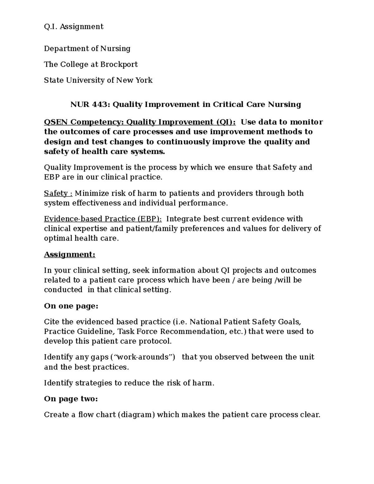 QI Competency NUR443 Clinical Assignment - Department of Nursing The ...