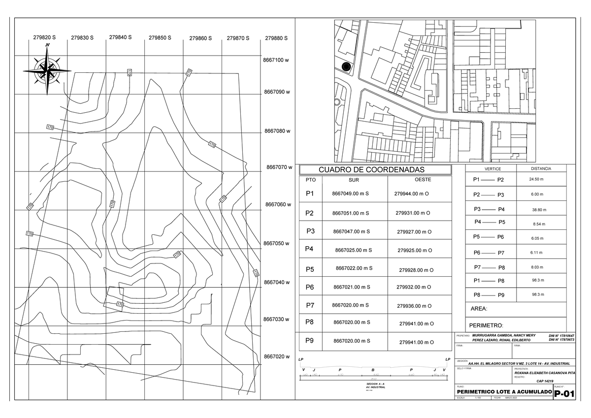 Topografico Buquee - 3E3E - FIRMA : PROPIETARIO: PROYECTISTA ...