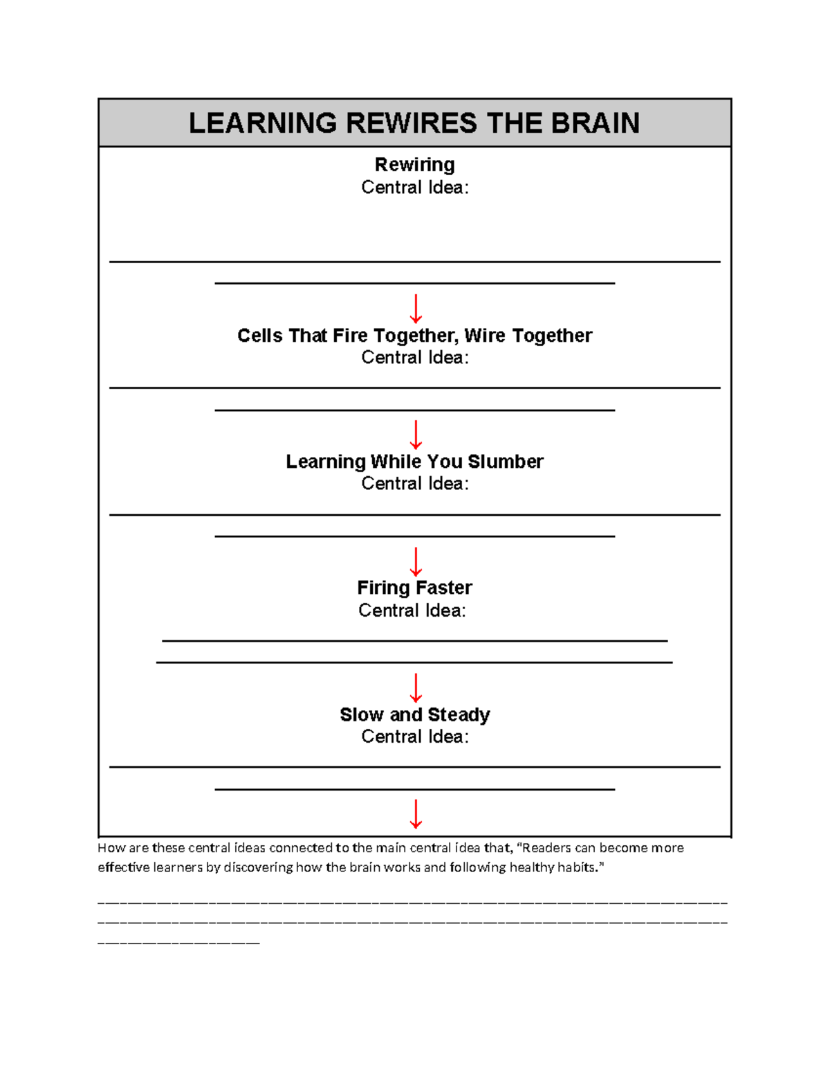 Scarlett Damian Lastra - Learning Rewires THE Brain Group Project ...